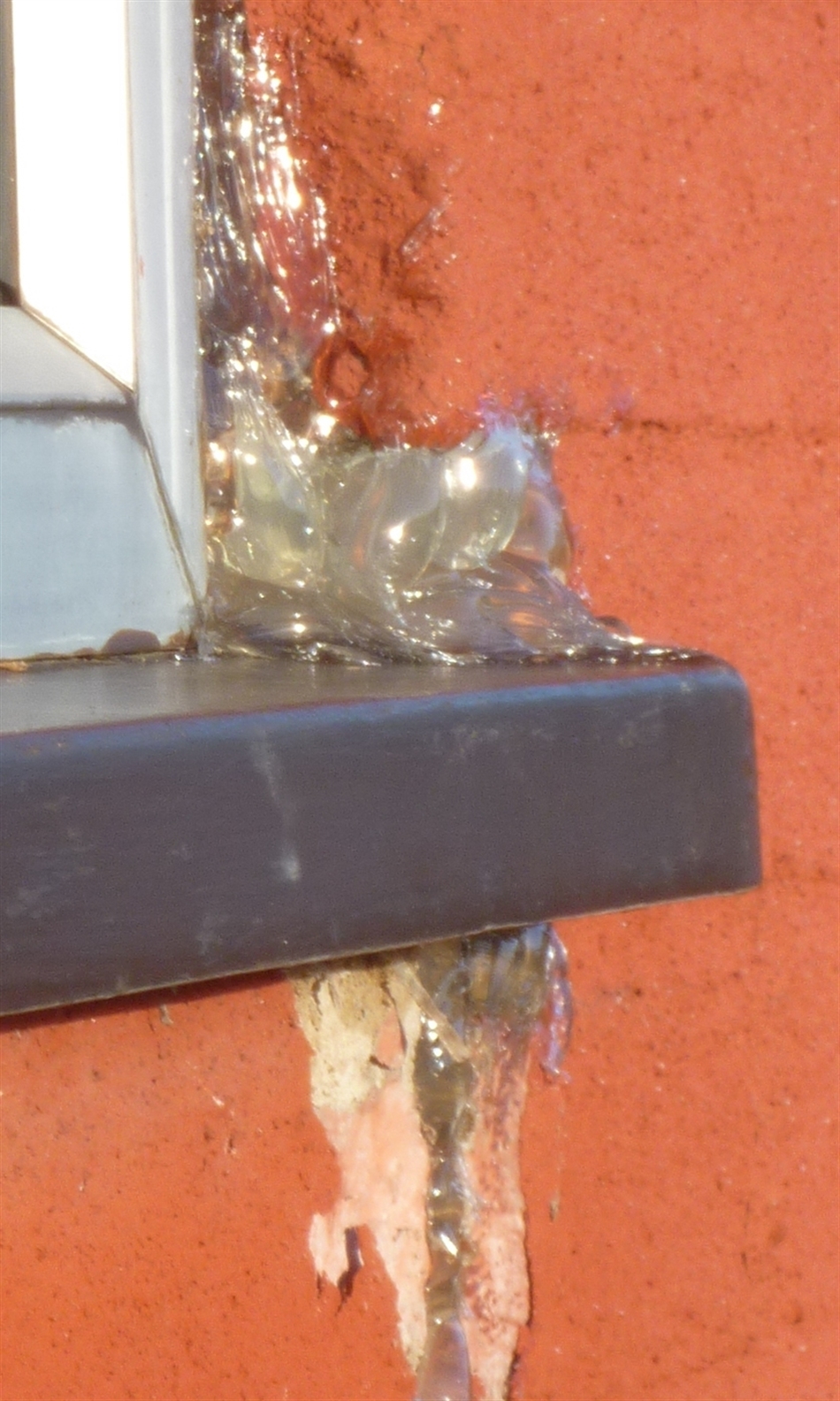 Repair to Hardwood / Aluminium Window Frame | Repair Care